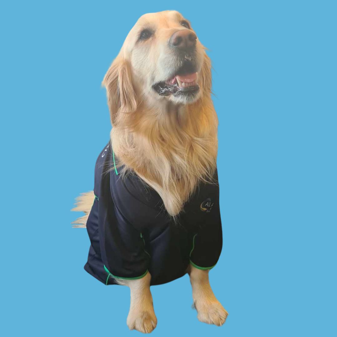 Meet our team - allaboard.org.au